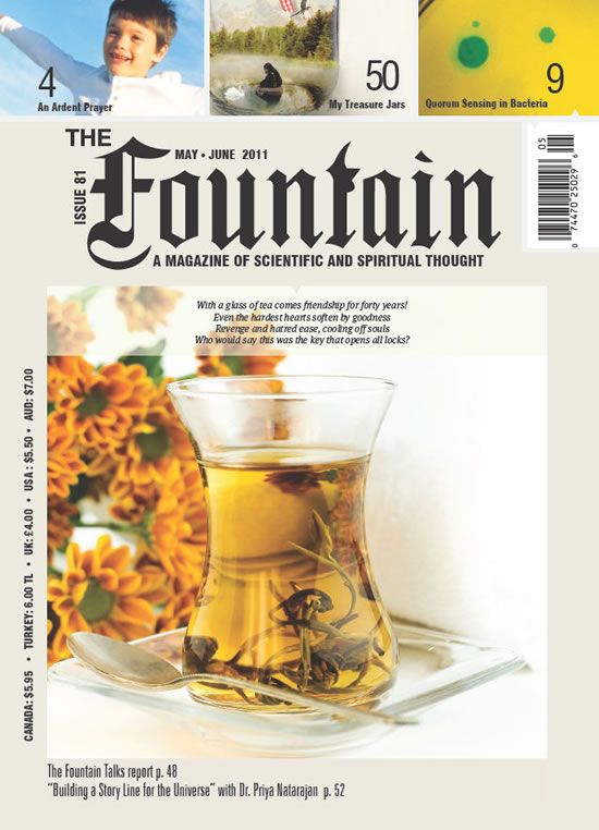 Issue 81 (May - June 2011) - The Fountain Magazine